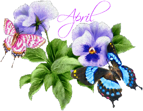 Animated Butterfly And Flower Gif